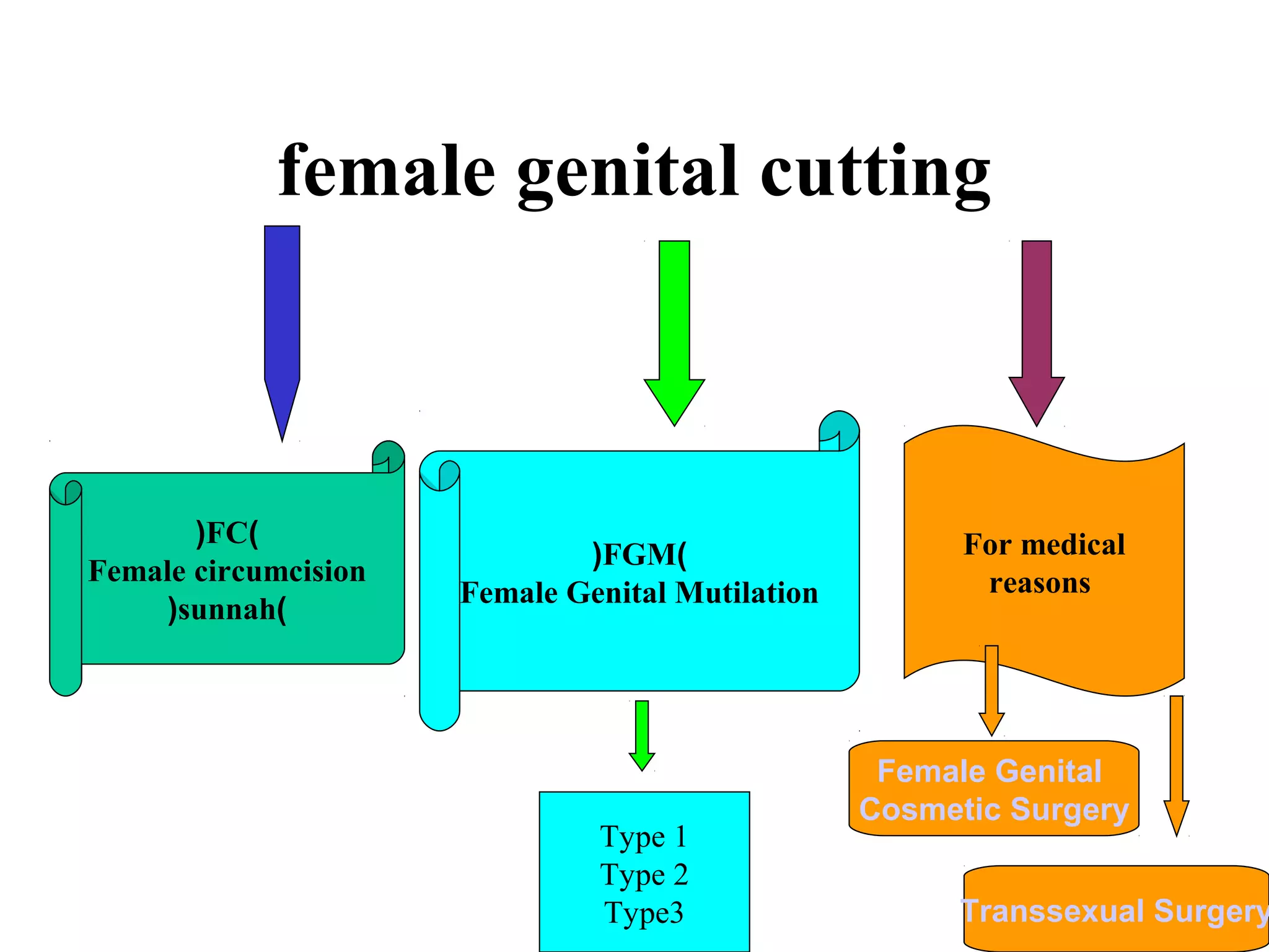 Female circumcision | PPT