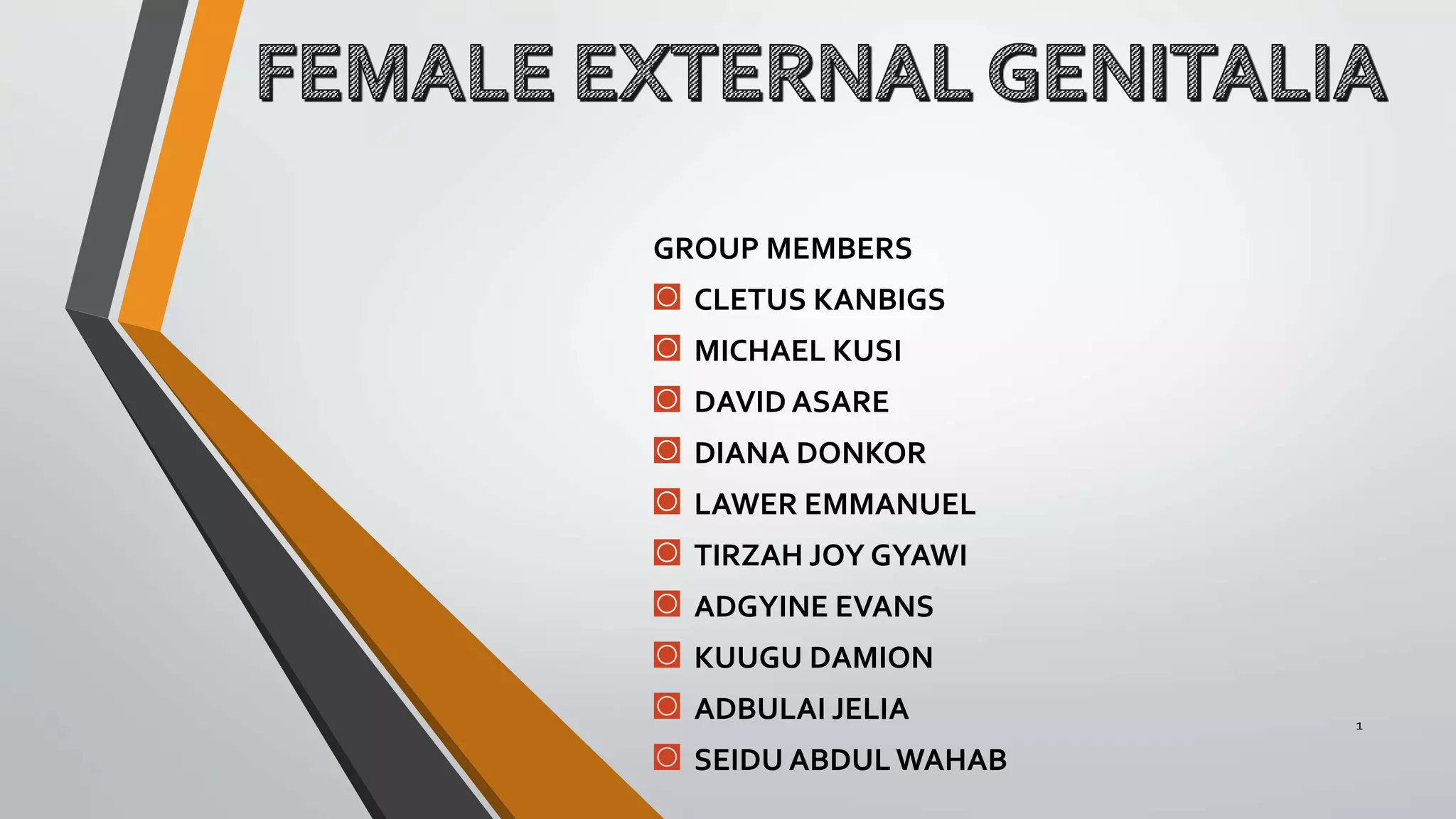 FEMALE EXTERNAL GENITALIA group 4.pptx FEMALE EXTERNAL GENITALIA group 4.pptx