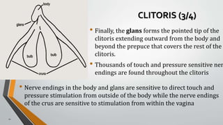FEMALE EXTERNAL GENITALIA group 4.pptx | Sexual Conditions | Sexual Health