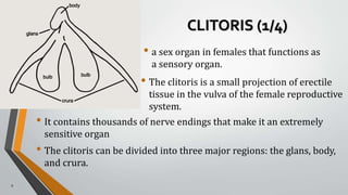 FEMALE EXTERNAL GENITALIA Group 4 pptx FEMALE EXTERNAL GENITALIA Group 4 pptx
