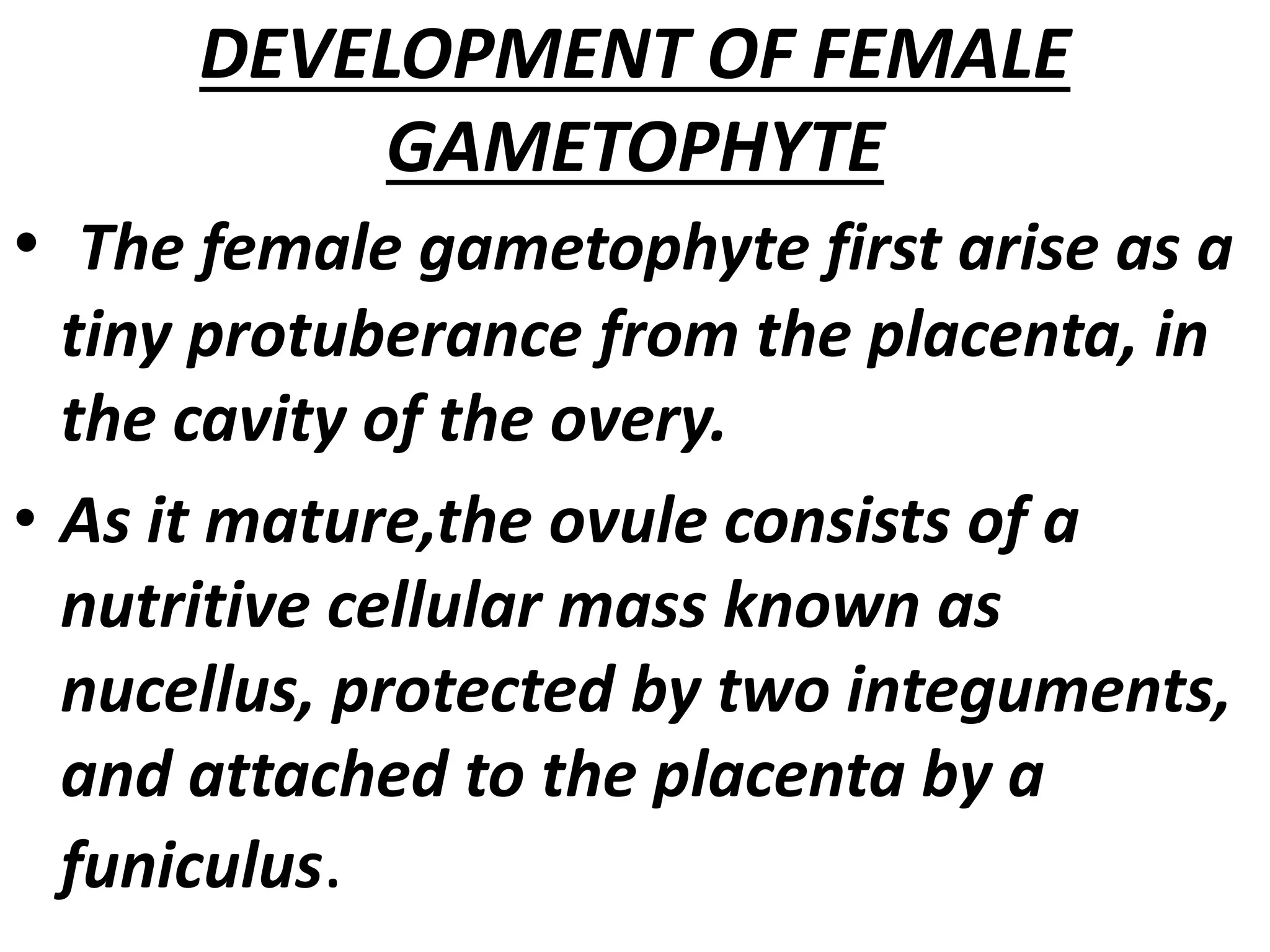 Female gametophyte | PPTX