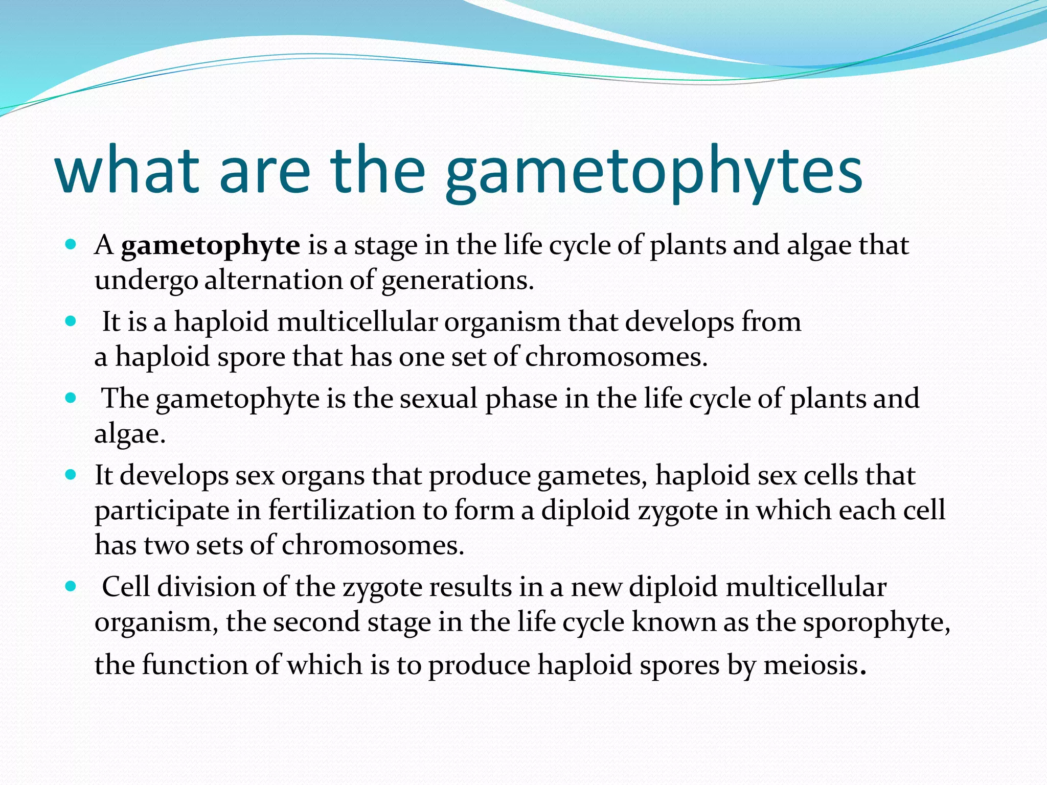 Female gametophyte | PPTX