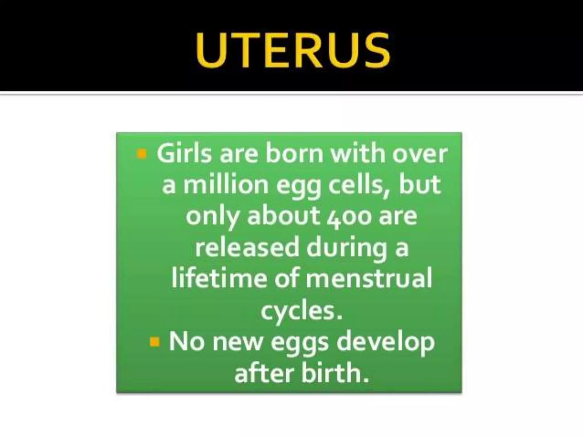 Anatomy Of Female Genital Tract Pptx
