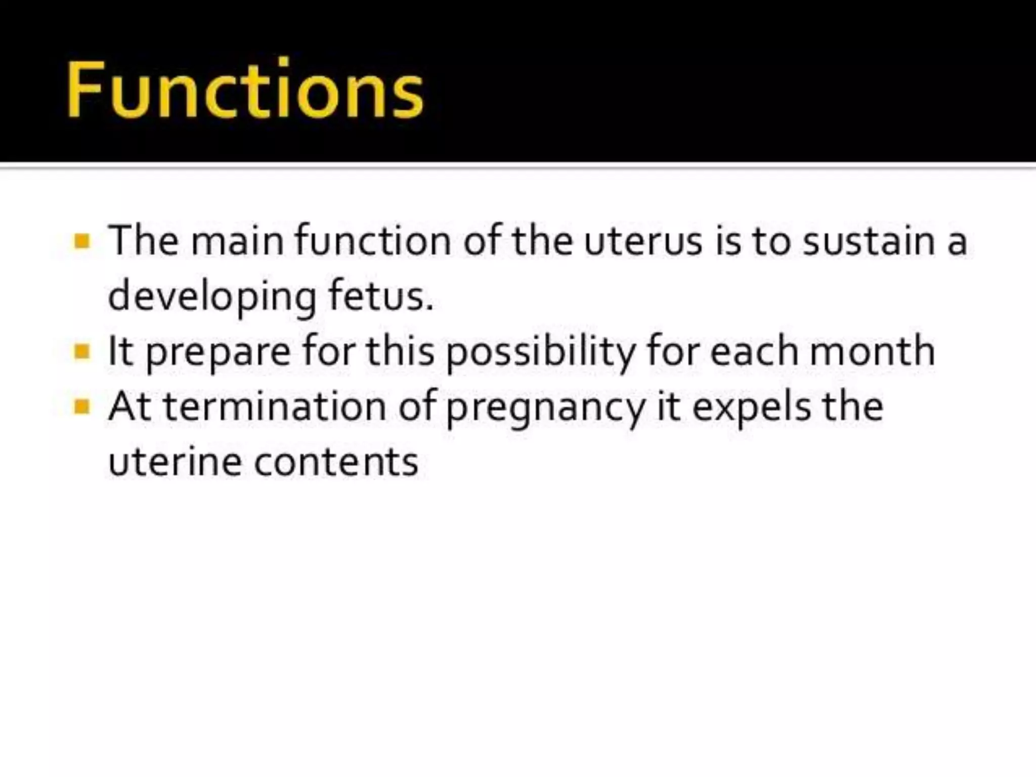 Anatomy Of Female Genital Tract Pptx