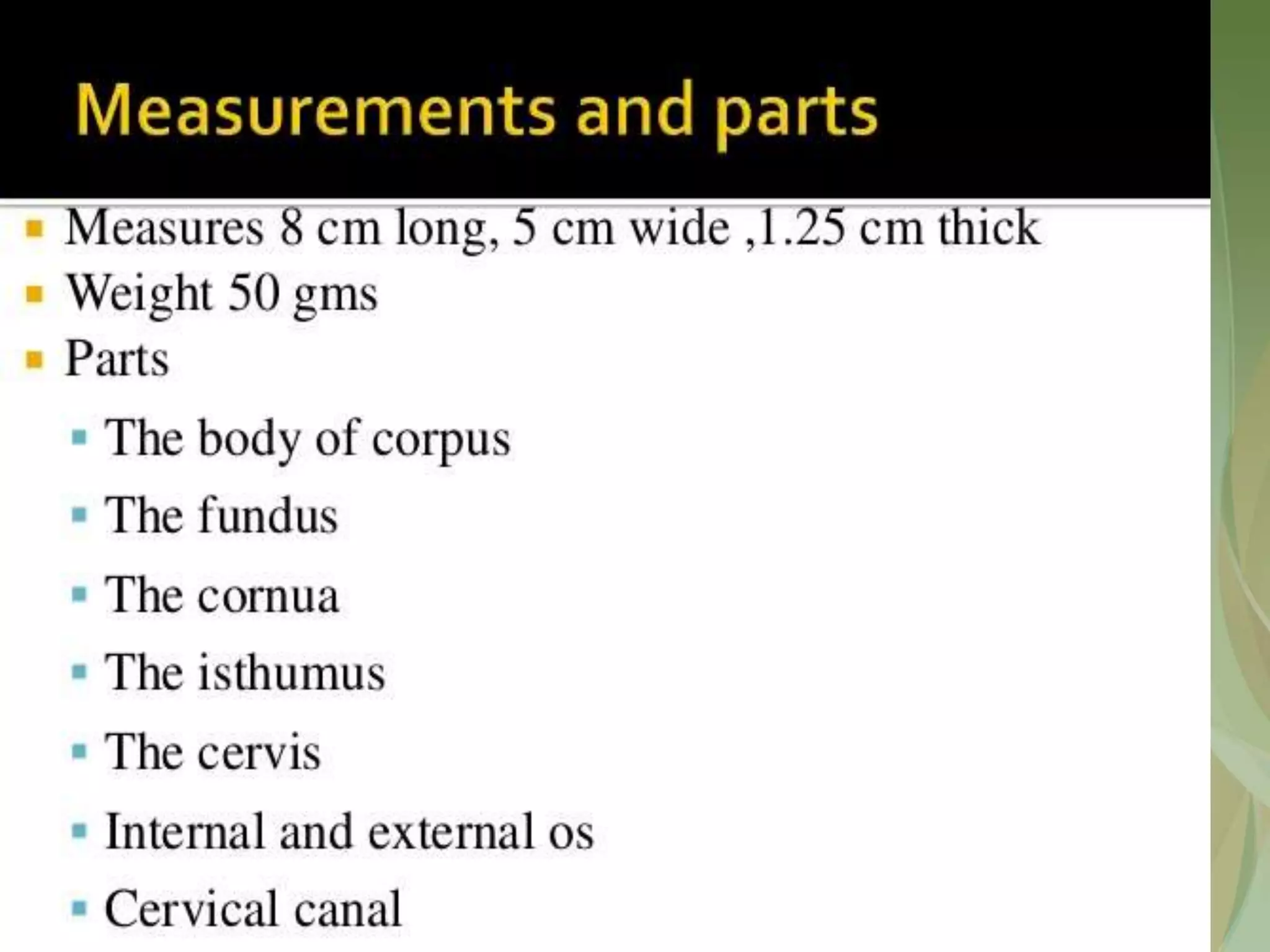 Anatomy Of Female Genital Tract Pptx