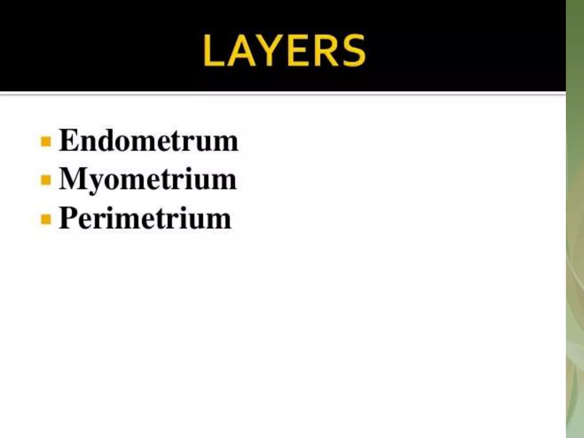 ANATOMY OF FEMALE GENITAL TRACT | PPTX