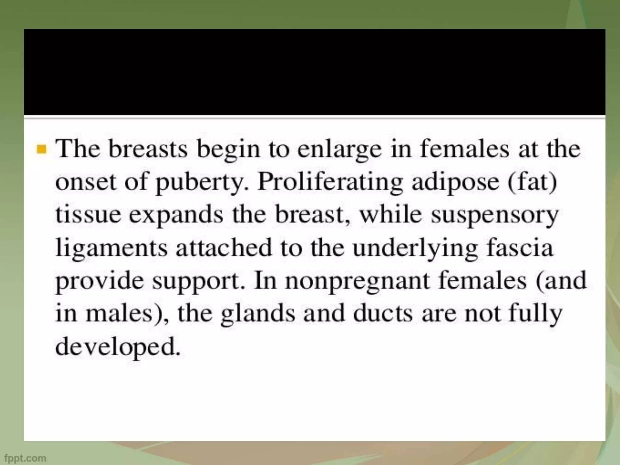 Anatomy Of Female Genital Tract Pptx