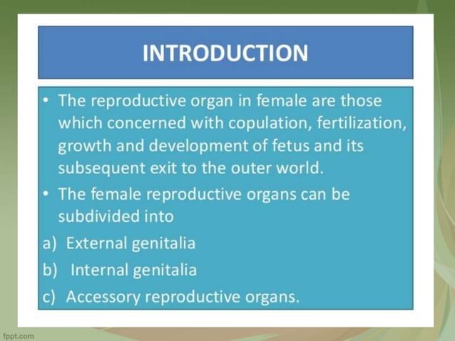 ANATOMY OF FEMALE GENITAL TRACT | PPTX