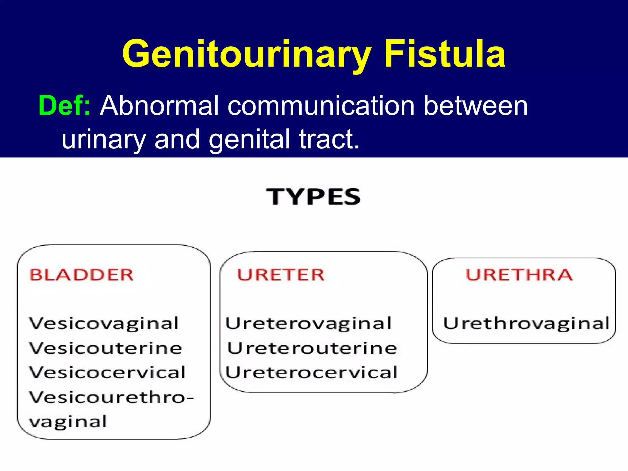 Female genital fistula | PPT