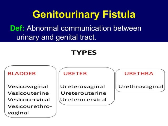Female genital fistula | PPT | Digestive Disorders | Diseases and ...