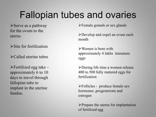 Female genitalia-Forensic | PPTX