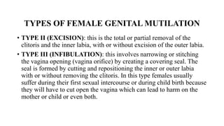 INTRODUCTION TO FEMALE GENITAL MUTILATION.pptx | Sexual Health ...