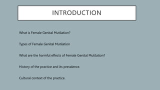 Female genital mutilation and human rights discourse.pptx