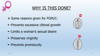 FEMALE GENITAL MUTILATION (FGM).pptx
