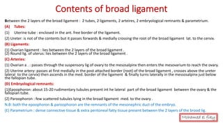 anatomy of Female genital organs [auto saved] | PDF