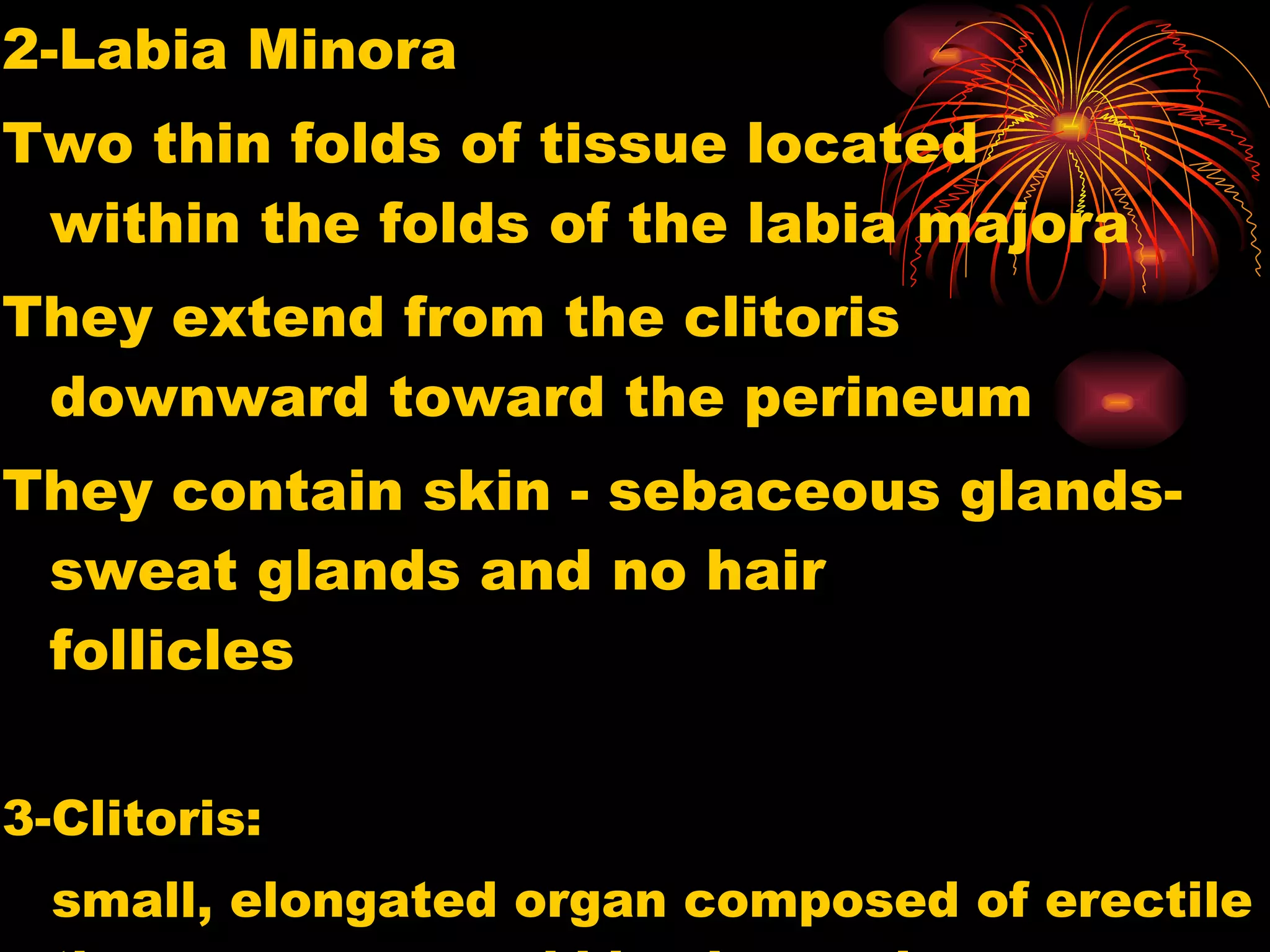 Female Genital System | PPT