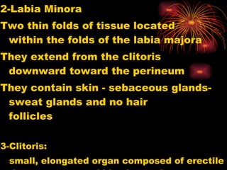 Female Genital System | PPT