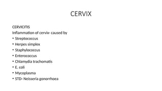 FEMALE GENITAL SYSTEM nursing class.pptx