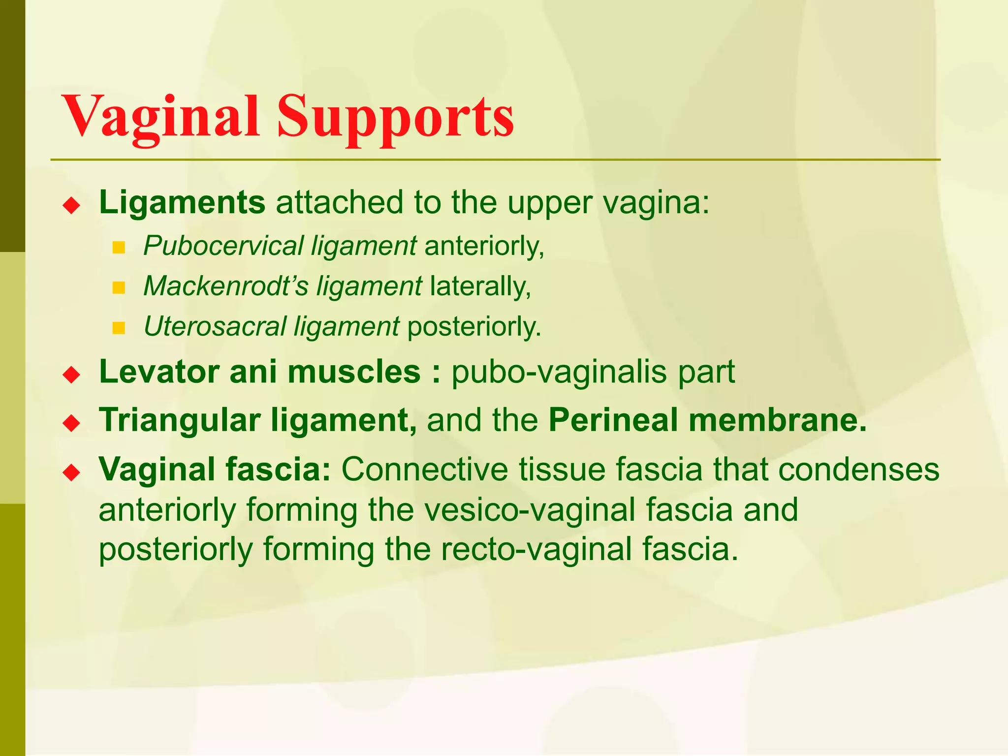 FEMALE GENITAL SYSTEM ANAT.ppt