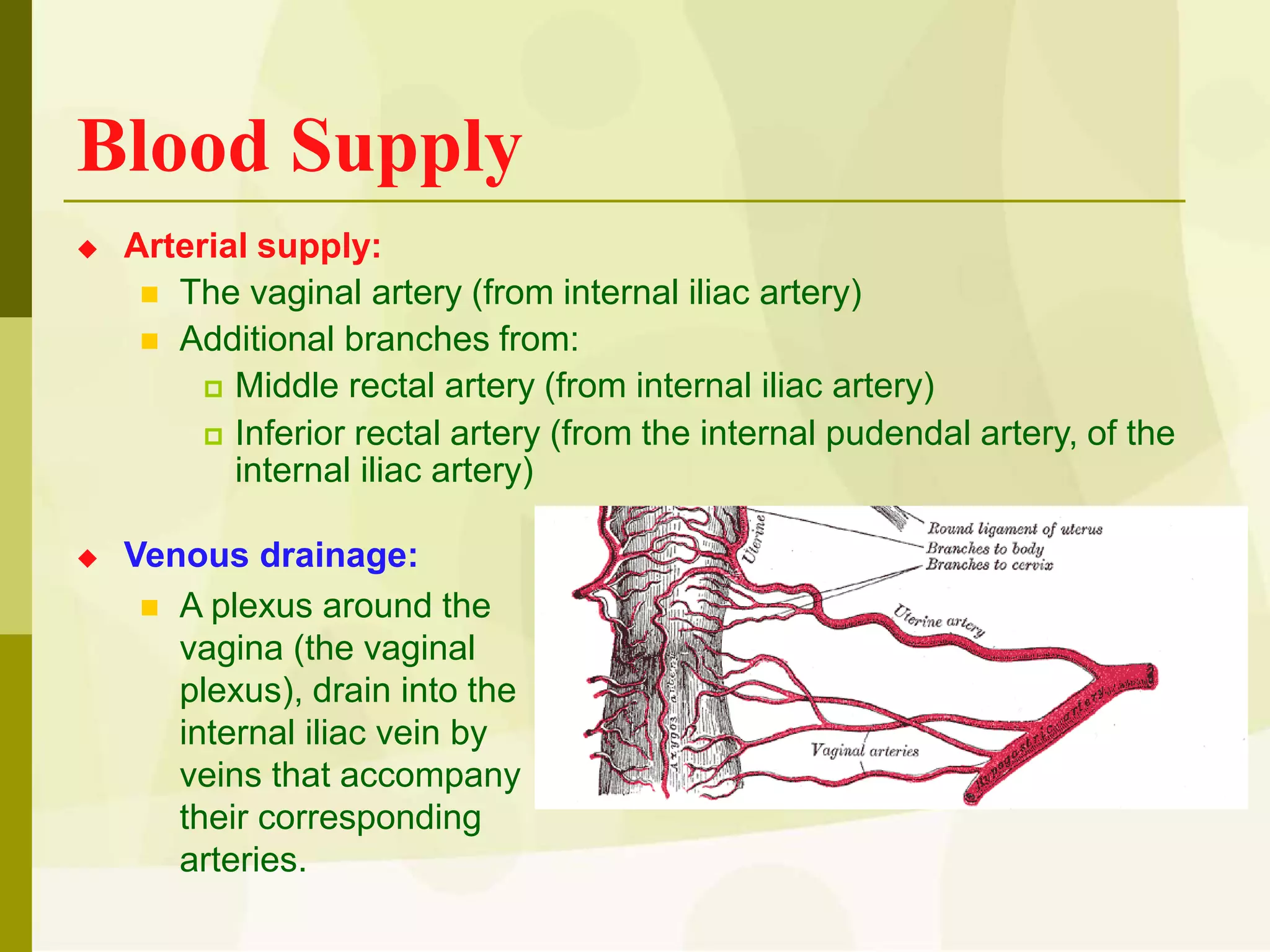 FEMALE GENITAL SYSTEM ANAT.ppt