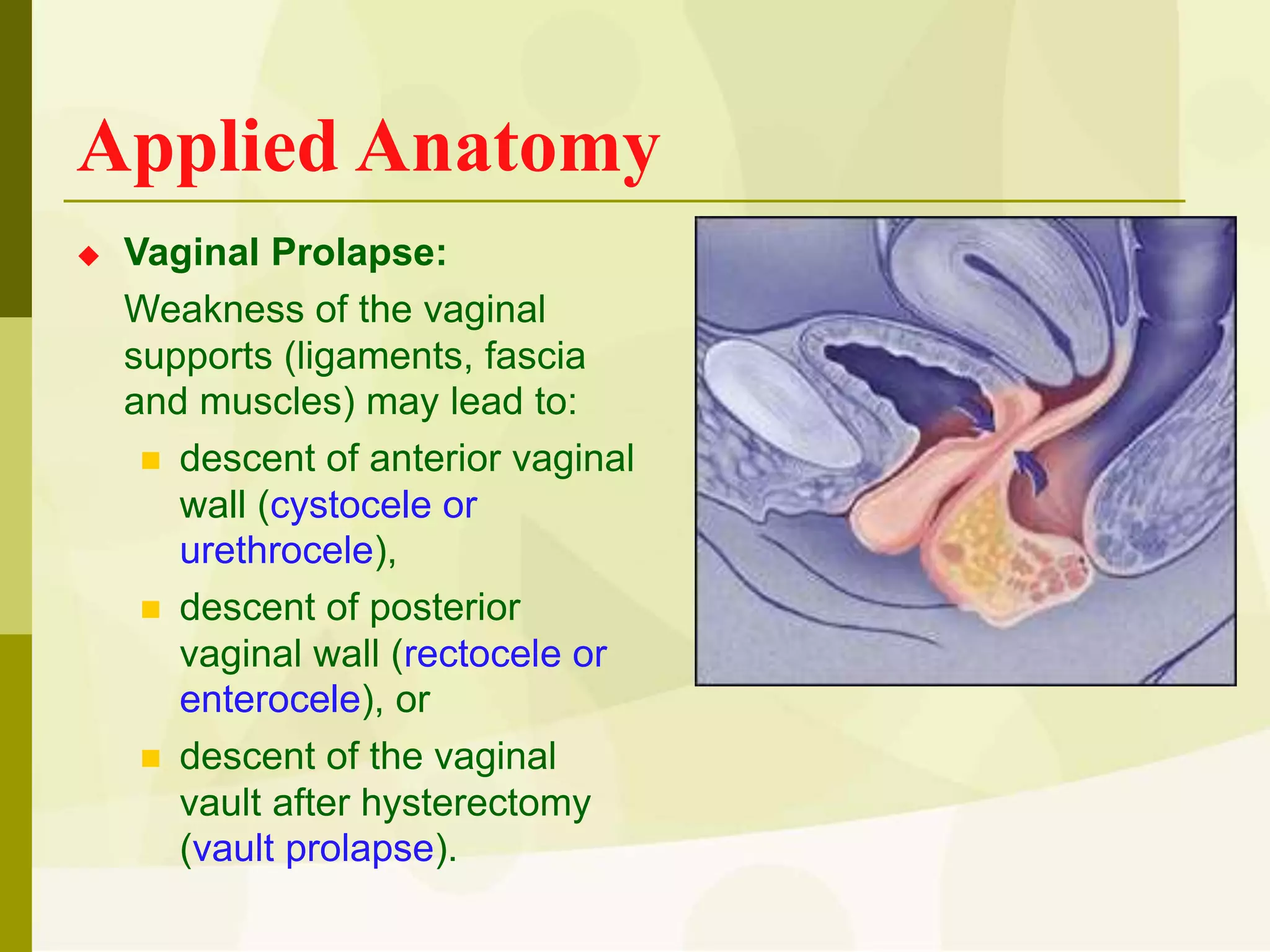 FEMALE GENITAL SYSTEM ANAT.ppt