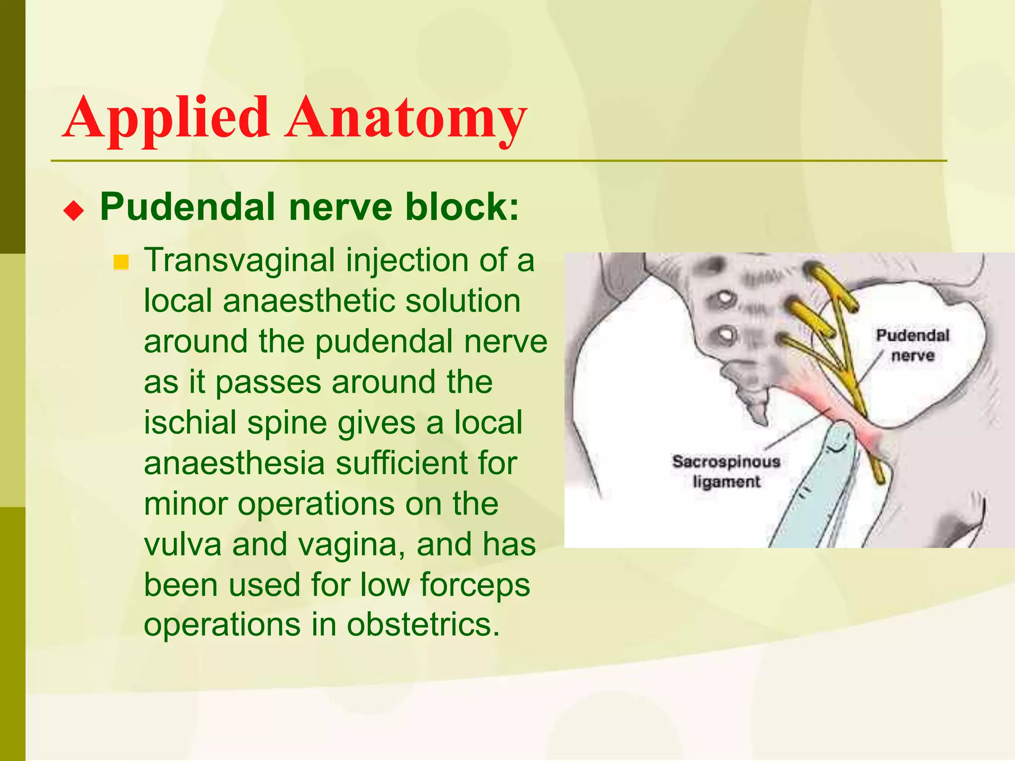 FEMALE GENITAL SYSTEM ANAT.ppt