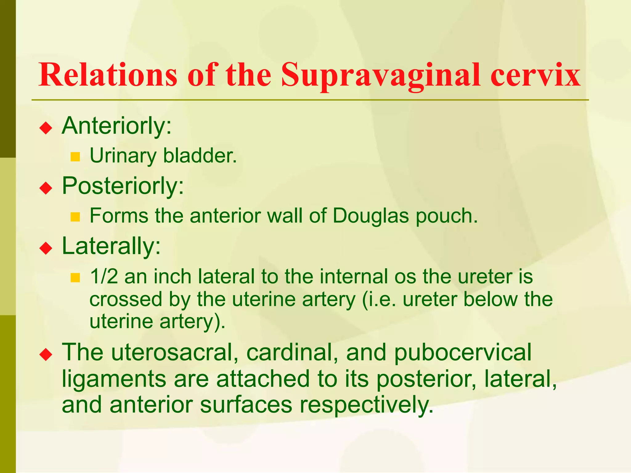 FEMALE GENITAL SYSTEM ANAT.ppt