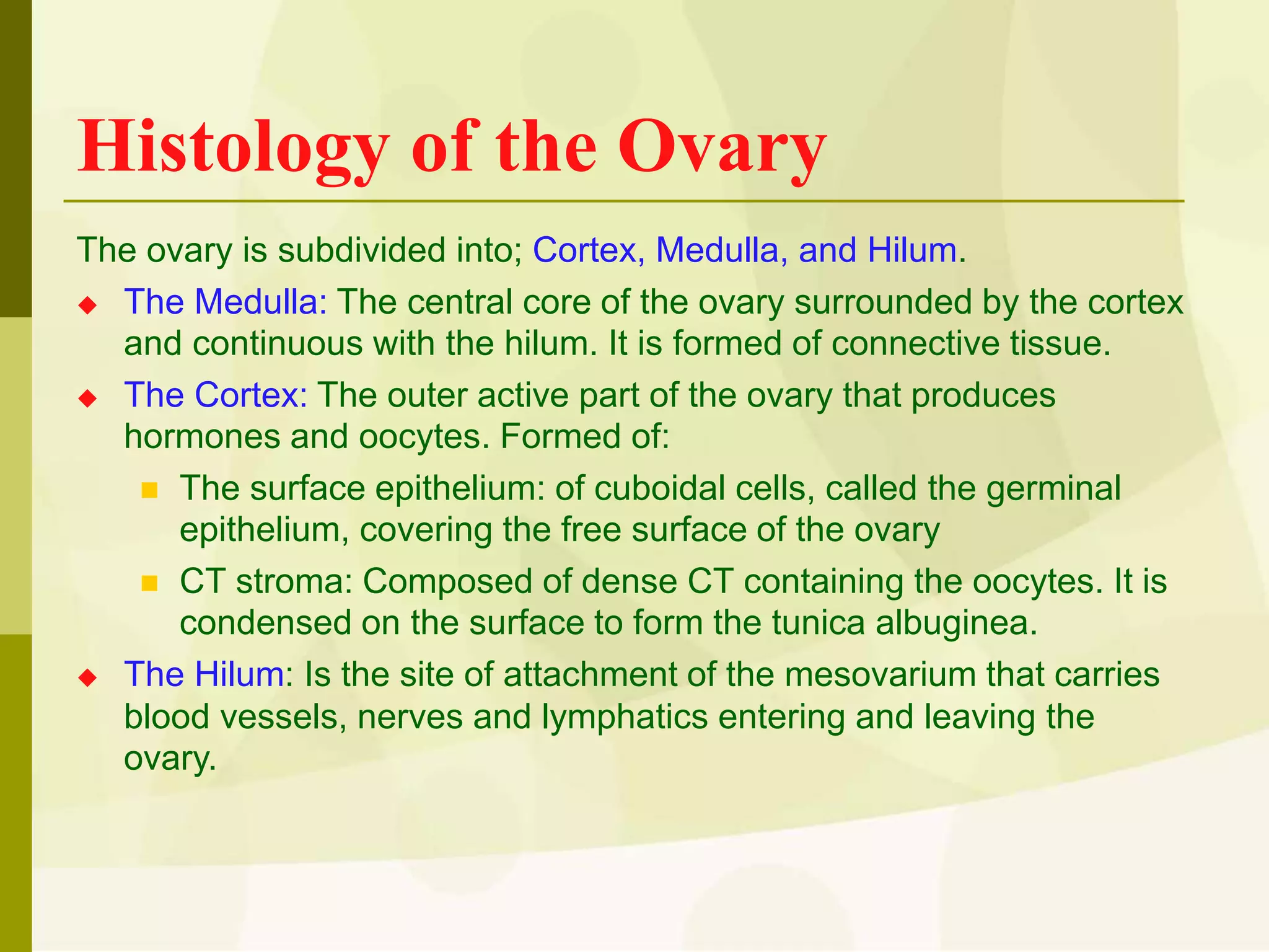 FEMALE GENITAL SYSTEM ANAT.ppt