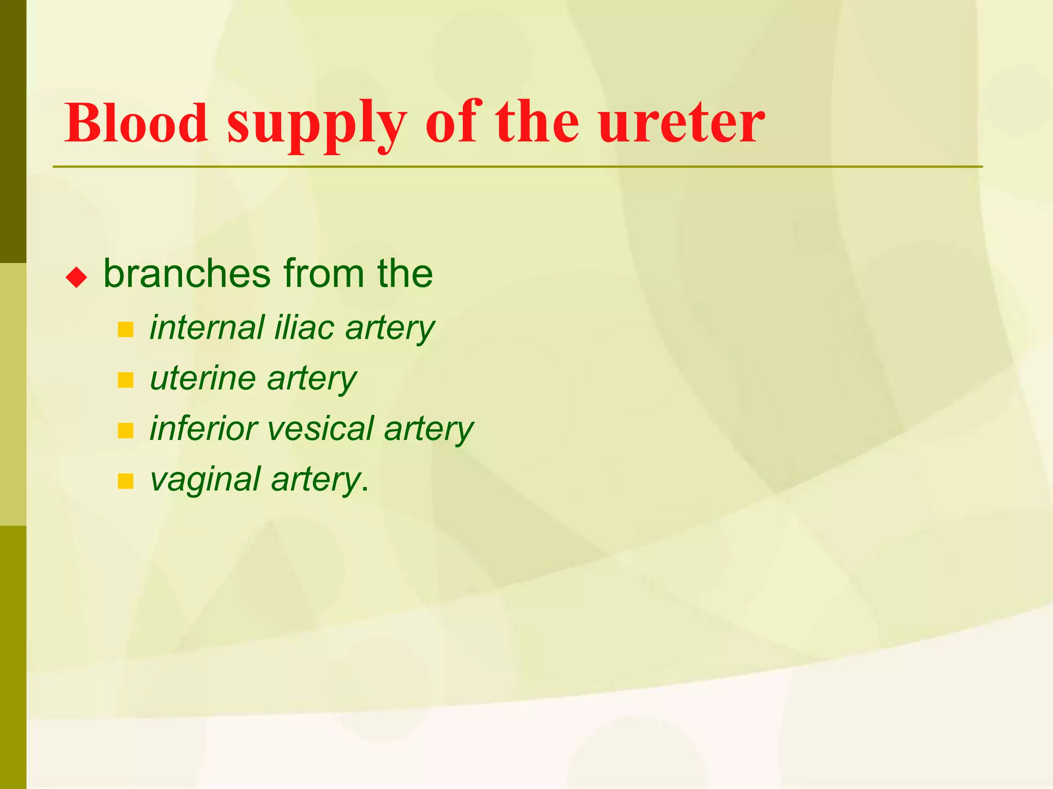 FEMALE GENITAL SYSTEM ANAT.ppt
