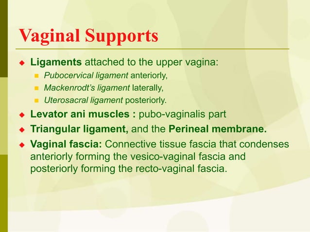 FEMALE GENITAL SYSTEM ANAT.ppt