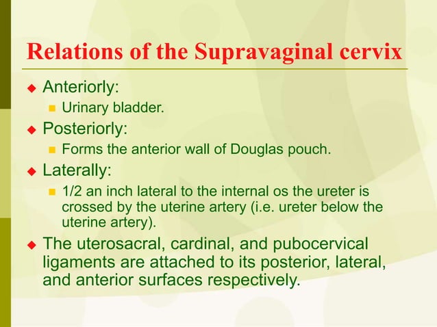 FEMALE GENITAL SYSTEM ANAT.ppt