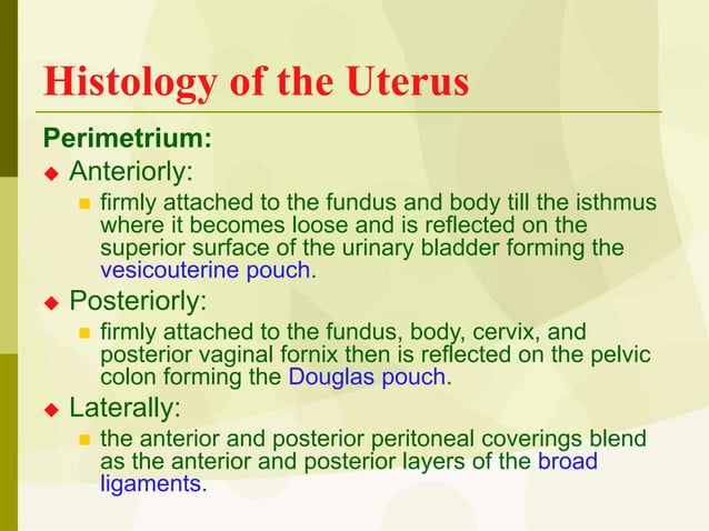 FEMALE GENITAL SYSTEM ANAT.ppt