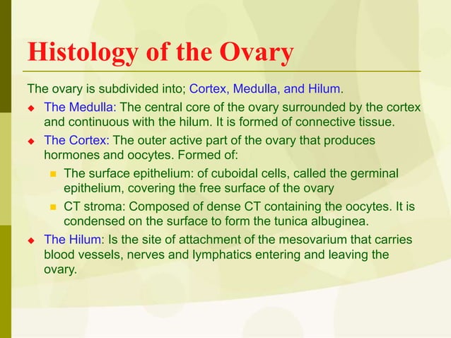 FEMALE GENITAL SYSTEM ANAT.ppt