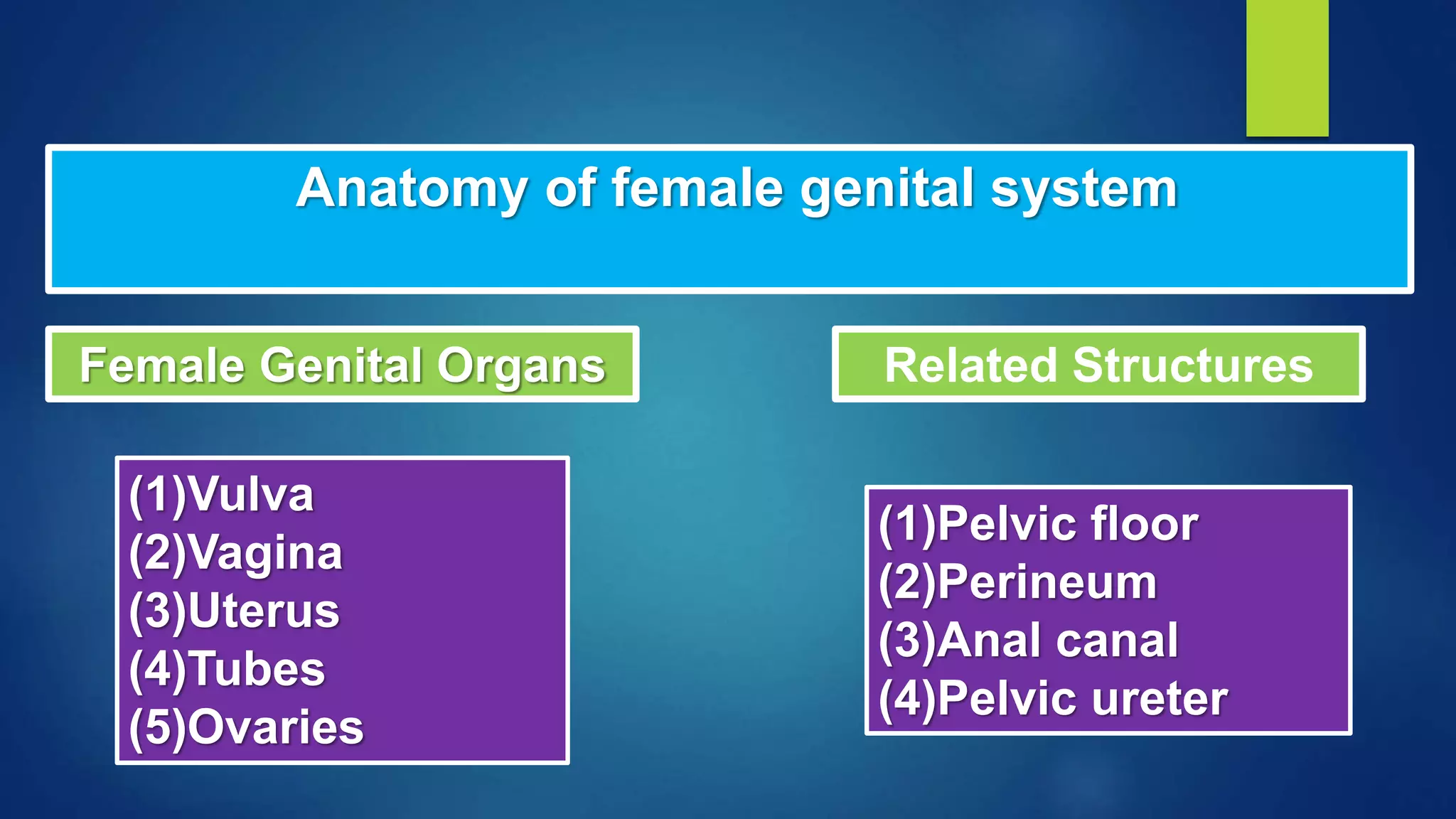 Female Genital System Anatomy And Embryology Pptx