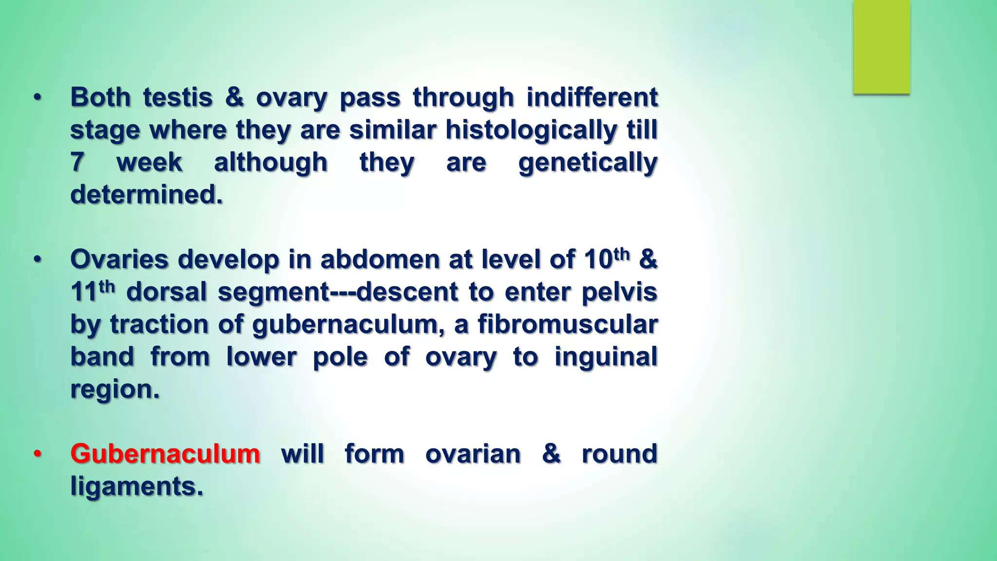 Female genital system anatomy & embryology | PPTX
