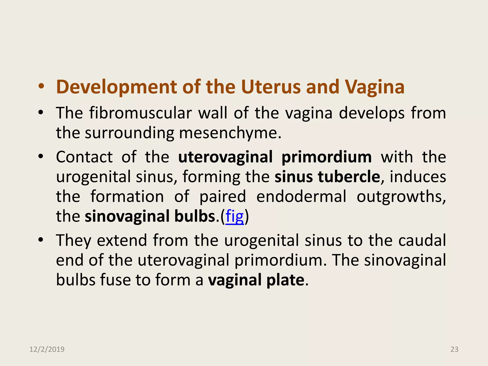 Female genital tract | PPTX