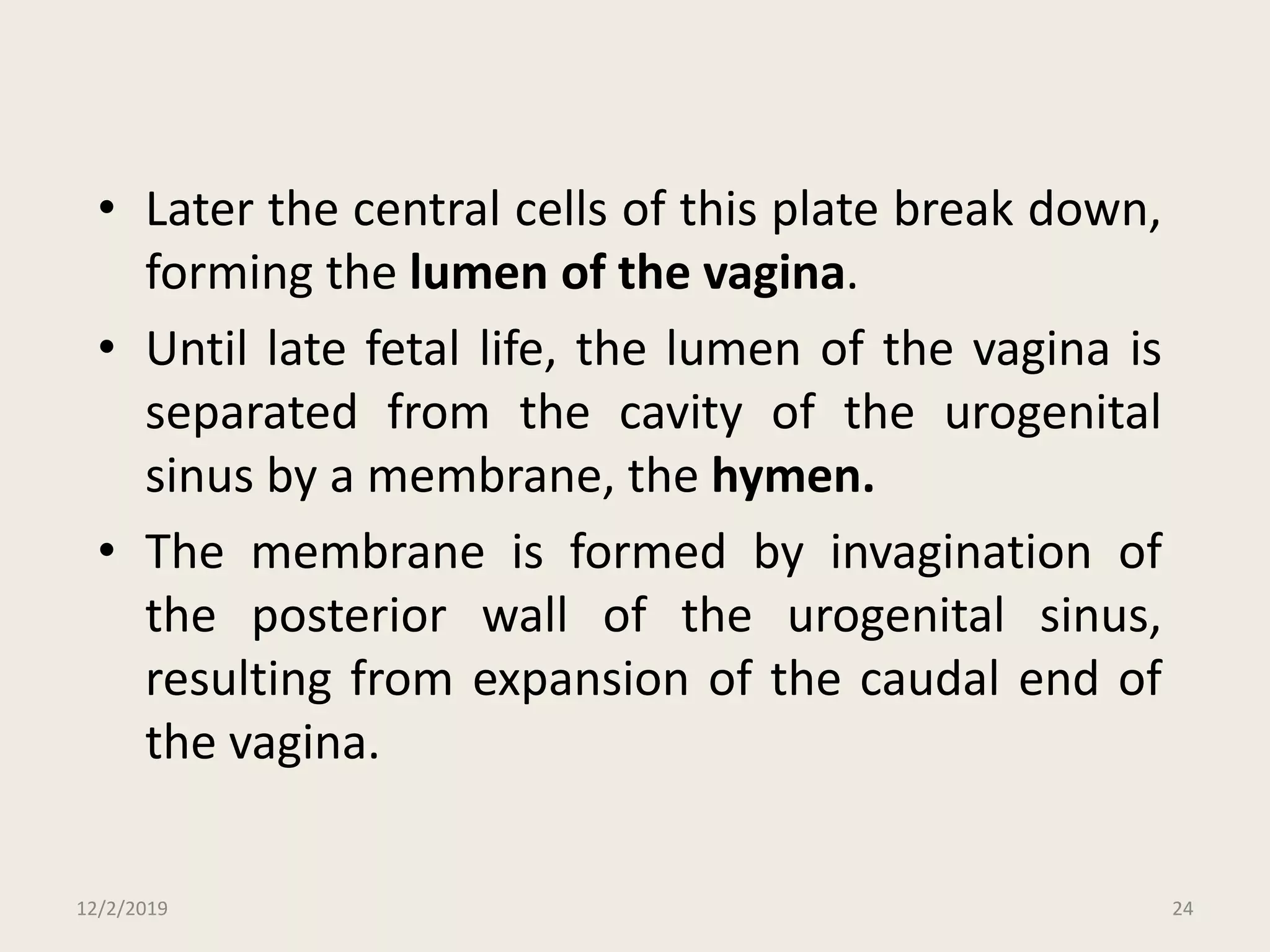 Female genital tract | PPTX