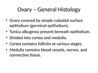 Comprehensive Histology of the Female Genital Tract: Structure ...