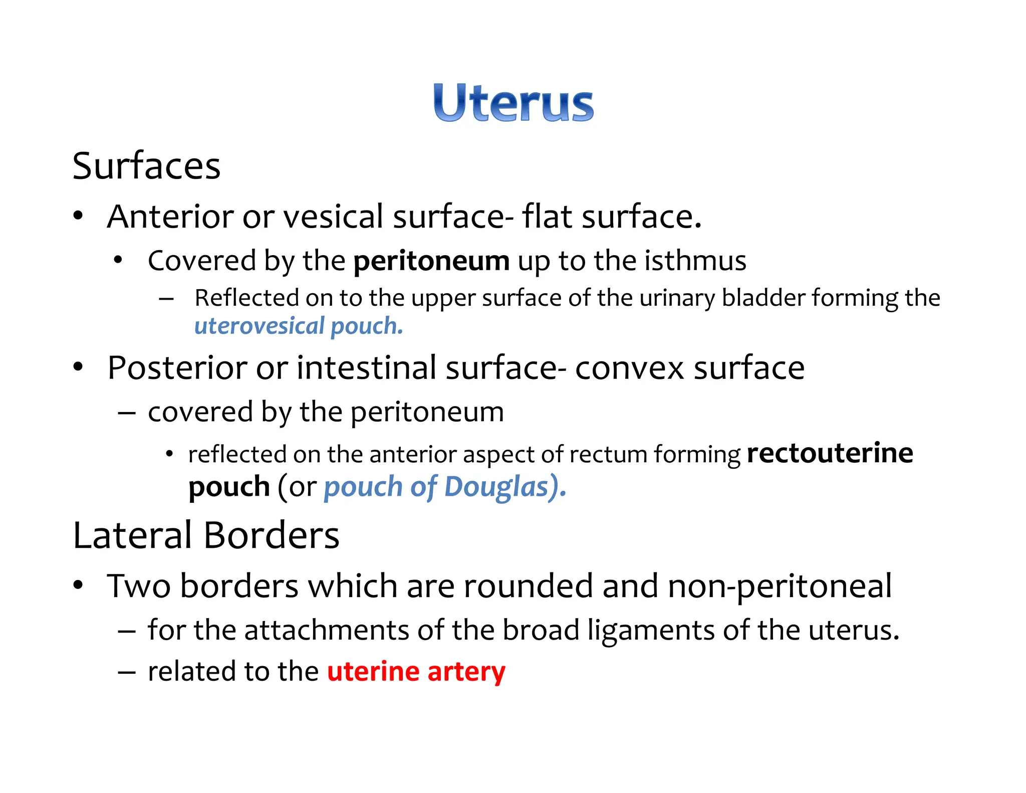 Female Internal Genital organs 2018 (1).pdf