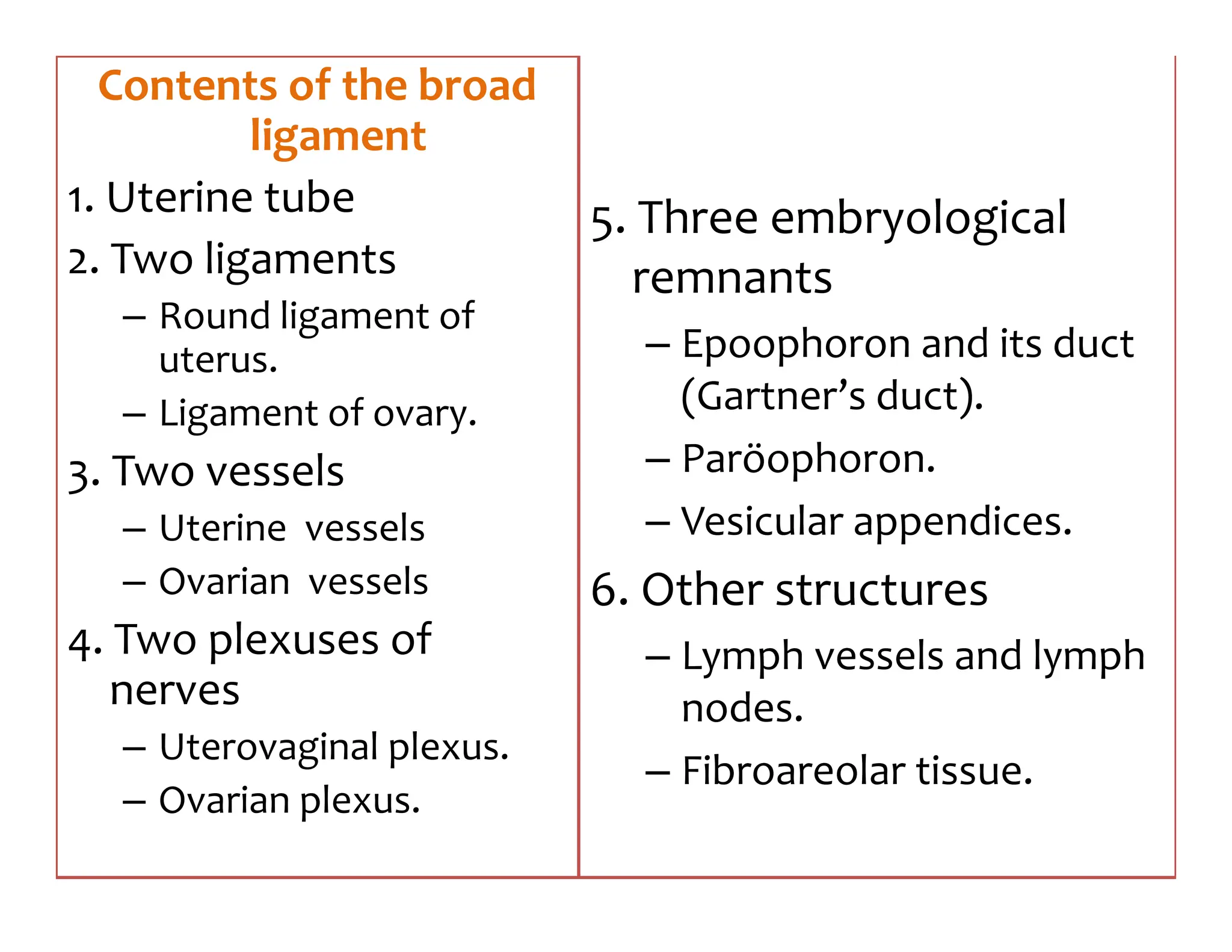 Female Internal Genital organs 2018 (1).pdf