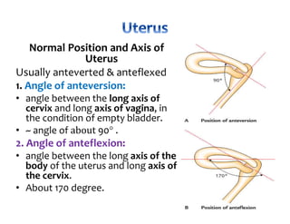 Female Internal Genital organs 2018 (1).pdf