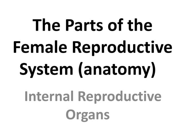 FEMALE & MALE REPRODUCTIVE SYSTEM 2.pptx