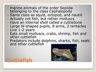 Female mimicry | PPTX | Fish and Aquariums | Pets