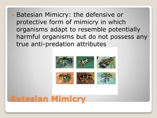 Female mimicry | PPTX | Fish and Aquariums | Pets