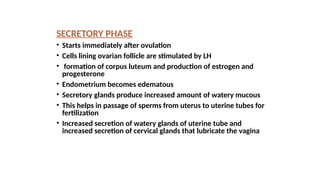female reproductive system ppt female rep | PPTX