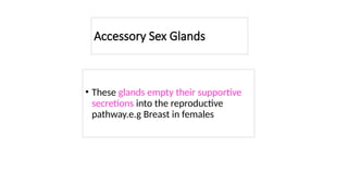 female reproductive system ppt female rep | PPTX