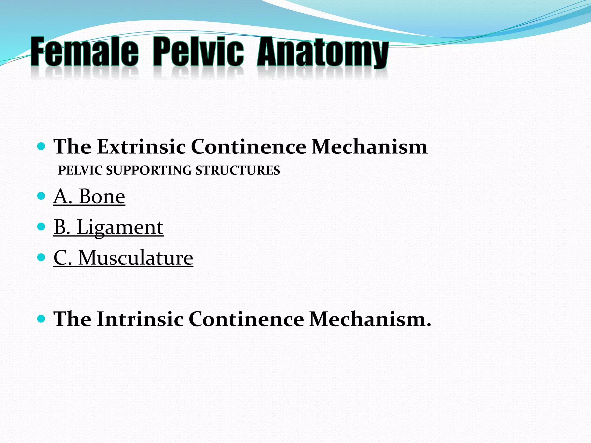 Female pelvic anatomy and urinary continence | PPTX