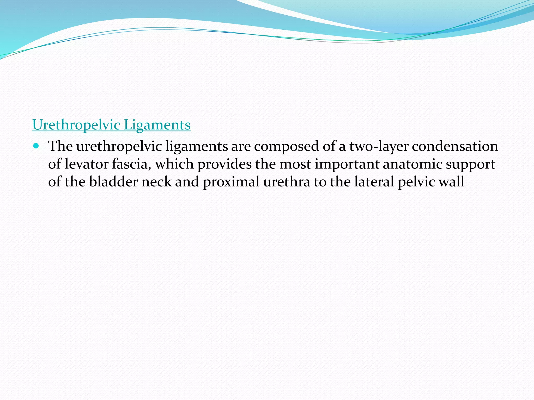 Female pelvic anatomy and urinary continence | PPT