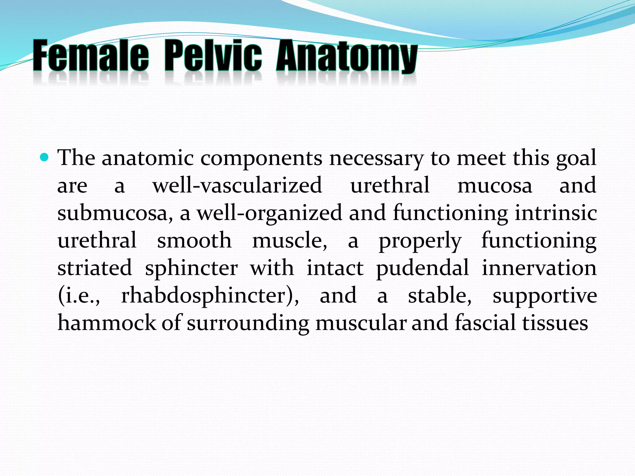 Female pelvic anatomy and urinary continence | PPT