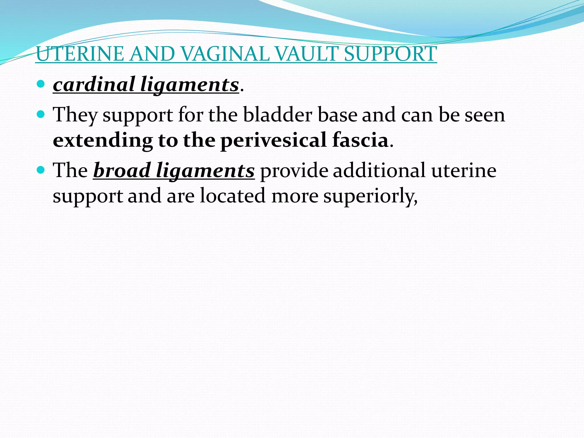 Female pelvic anatomy and urinary continence | PPT